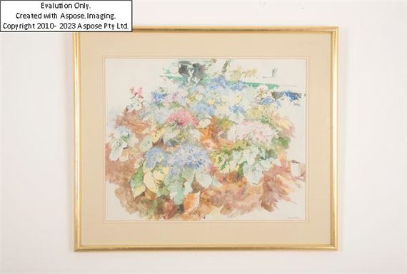 Susan Shaw | Cinerarias | MutualArt