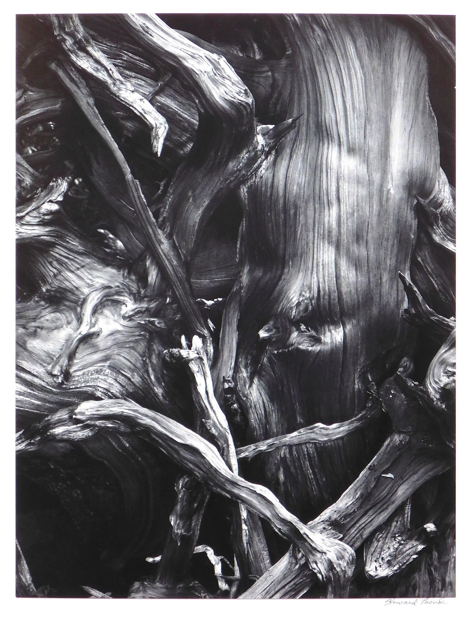 Howard Bond | Roots, Horseshoe Lakes (1974) | MutualArt