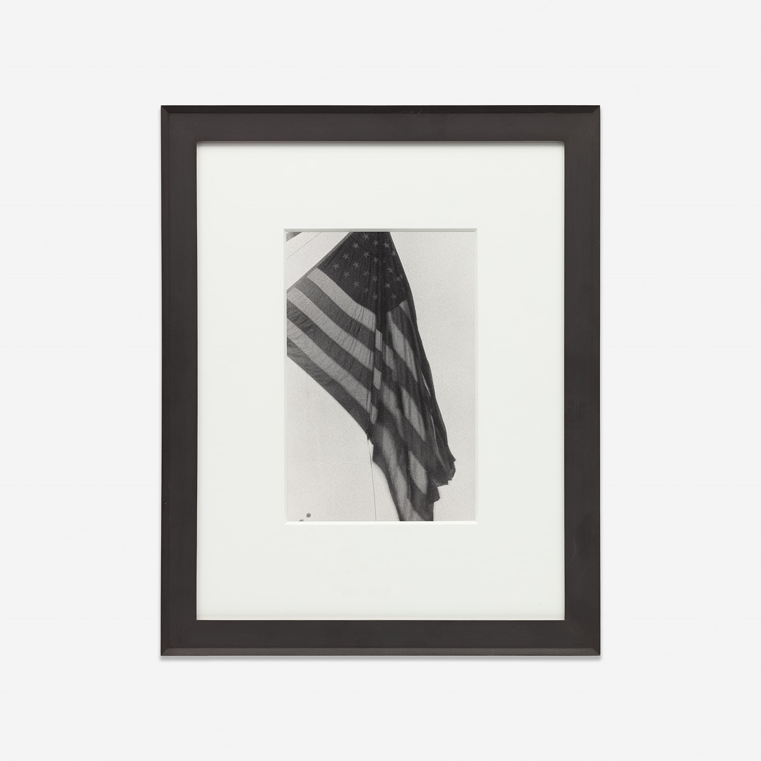 Diane Arbus | Drooping American flag, N.Y.C | MutualArt