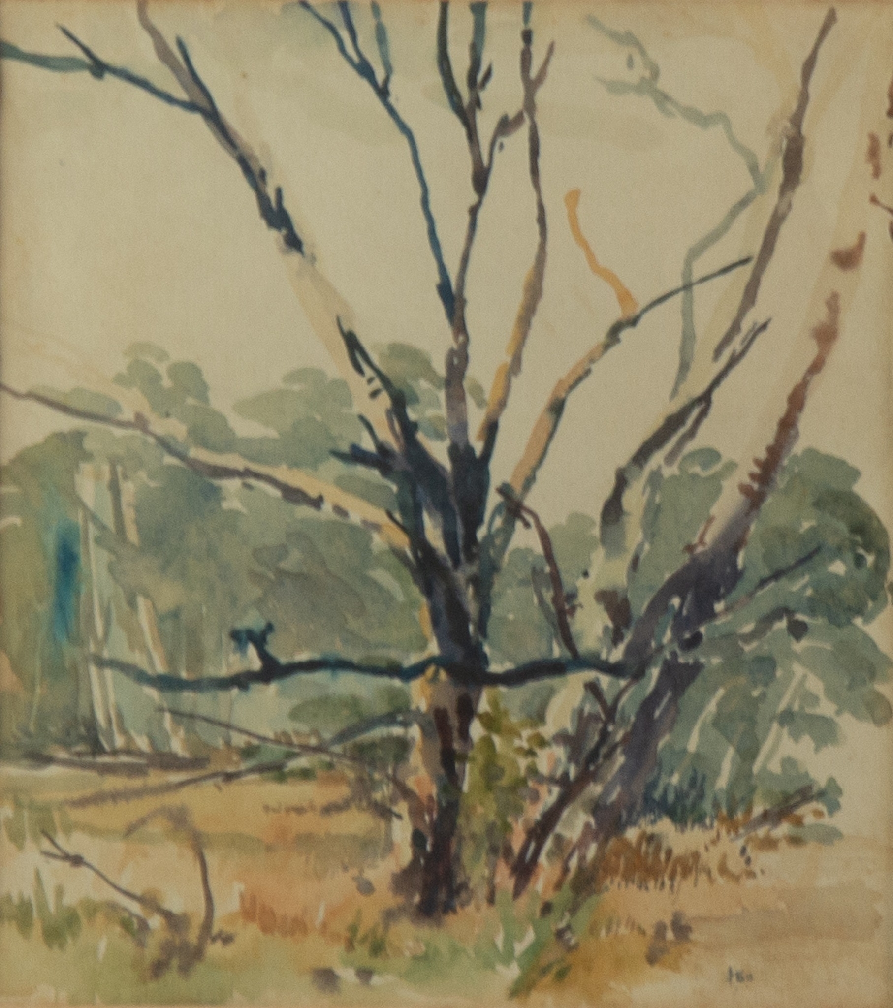 Albert B. Ogden | Silver Birch Trees | MutualArt