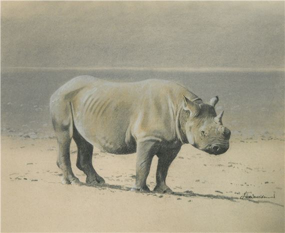 Kim Donaldson | Black Rhino | MutualArt