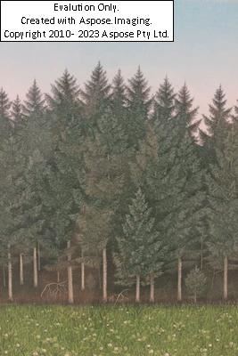 Josef Bramer | Josef Bramer (1948) | MutualArt