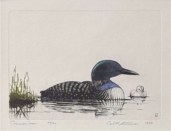 Carl Stevenson | Common Loon (1989) | MutualArt