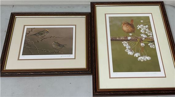 Robert E. Fuller | Wren on Cherry Blossom | MutualArt