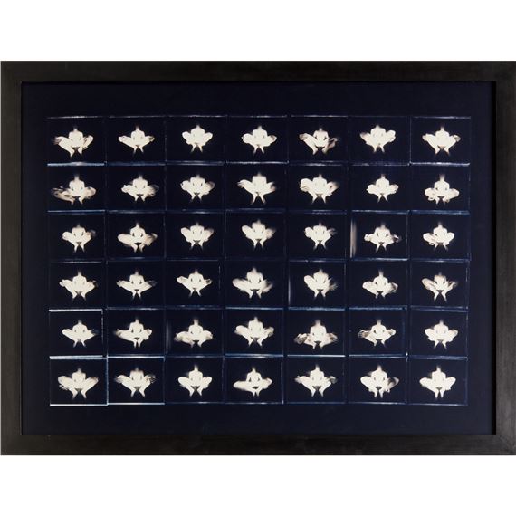 Barbara Ess | Barbara Ess, monochrome photograph, 1990 (1990) | MutualArt