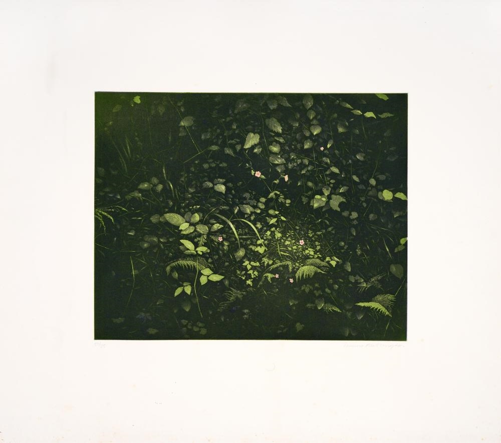 Terence Millington | Hedgerow & Lake Como 11 (2 works | MutualArt