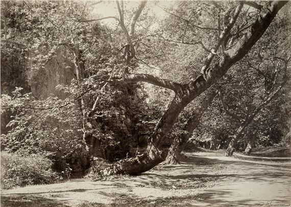 Frédéric Boissonnas | BOISSONNAS | MutualArt