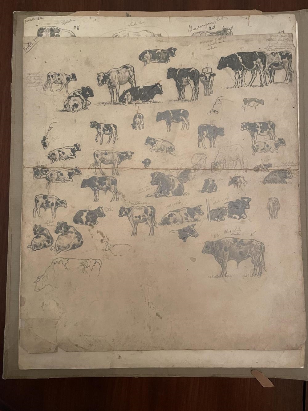 Benson Bond Moore | 42 LOOSE SHEETS OF PENCIL DRAWINGS | MutualArt