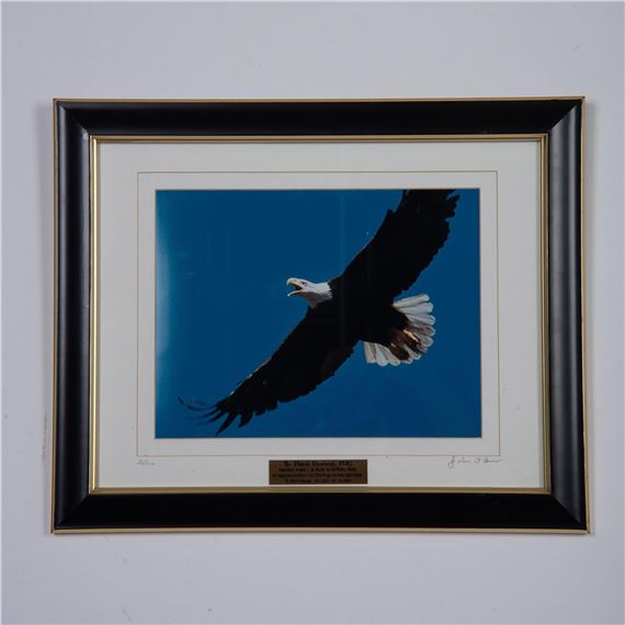 John Flower | 1 Artworks | MutualArt