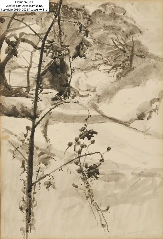 James William Winterbottom | James William Winterbottom, British 1924 ...