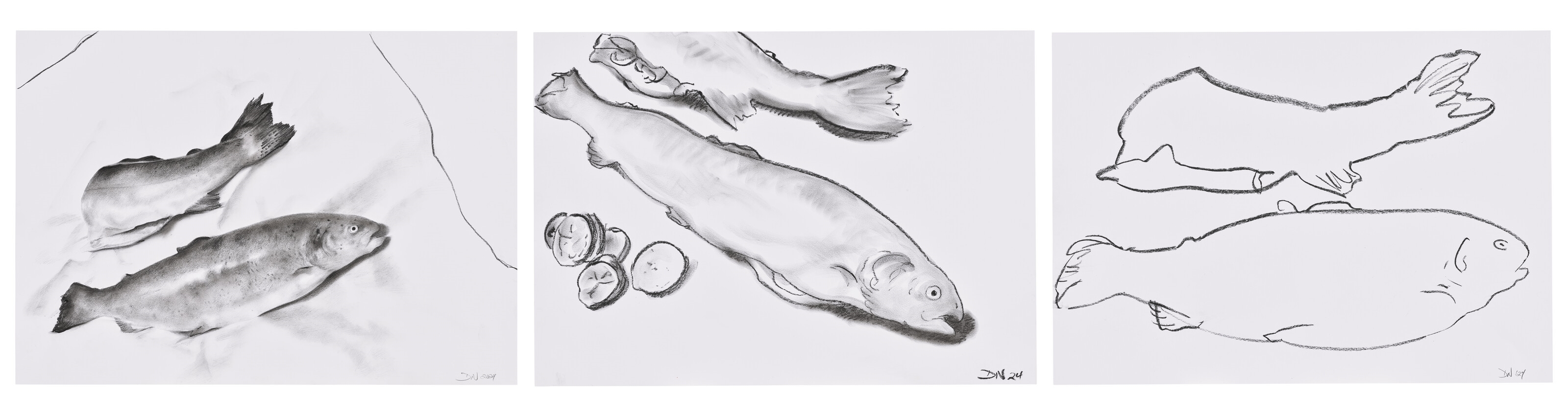 David Nicholson | (i-iii) Trout (2024) | MutualArt
