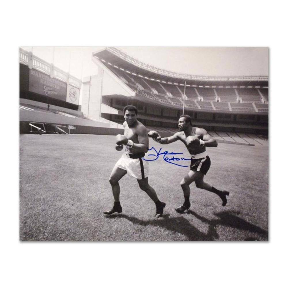 Ken Norton | Yankee Stadium 40 x 30 Sports Collectible Hand-Signed by ...