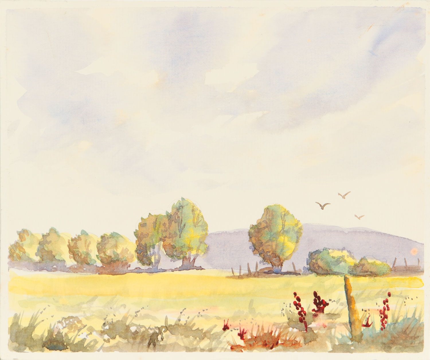 Darren Paul | SUMMER | MutualArt