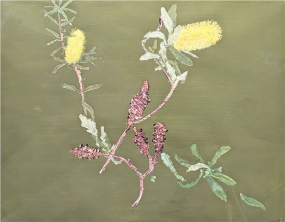 Clifton Pugh | CLIFTON PUGH | MutualArt