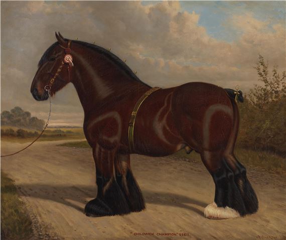 William Albert Clark | The Heavy horse 'Childwick Champion 22215 (1910 ...