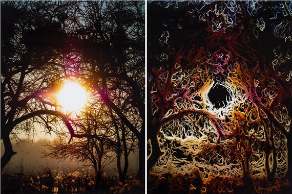 Franciszek Kruczkowski | Eclipsed Reflections (2024) | MutualArt