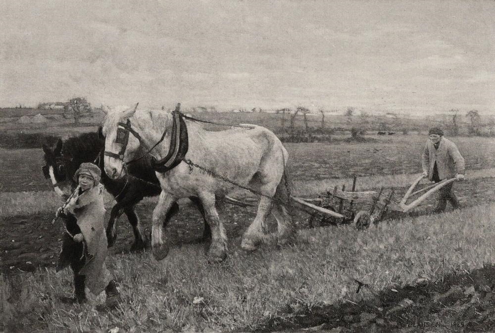 George Clausen | STILL LIFE OF CARNATIONS | MutualArt