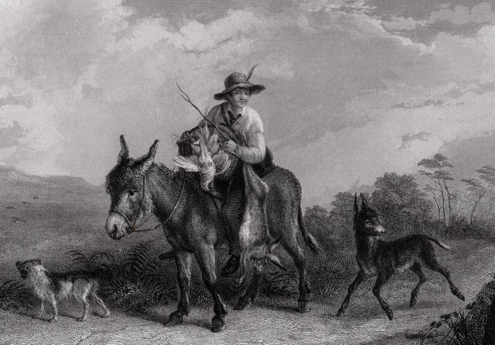 Henry Park | From the Moors | MutualArt