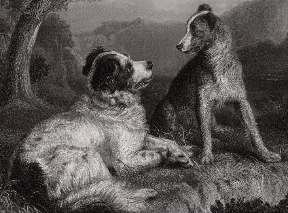 Henry Edward Landseer | The TWA Dogs | MutualArt