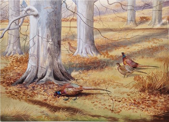 Philip Rickman | Philip Rickman (1891-1982) Watercolour Pheasants in ...