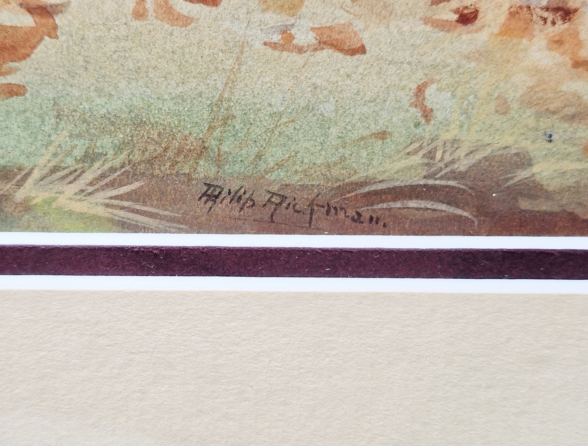 Philip Rickman | Philip Rickman (1891-1982) Watercolour Pheasants in ...