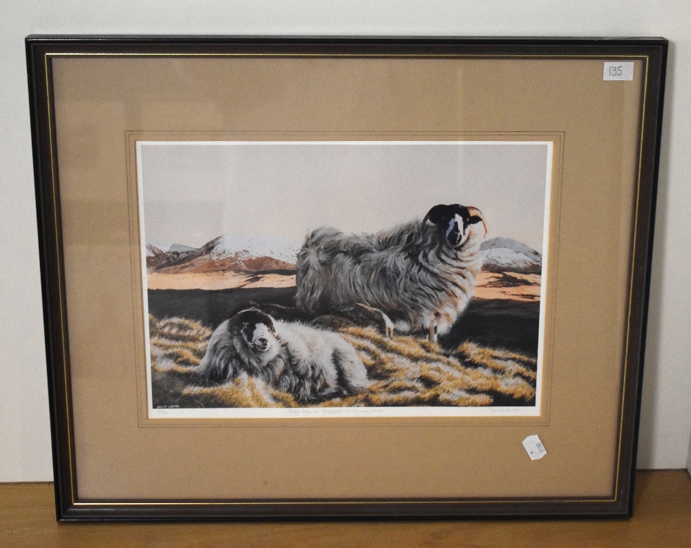 David Carter | Highland Cow | MutualArt