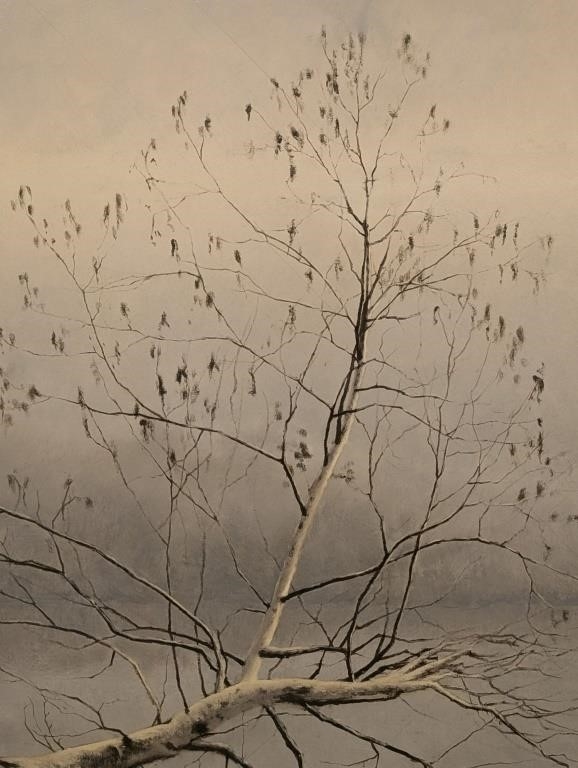 Yun Gee | Bruce Brainard Original Fallen Branches 60 x 54 | MutualArt
