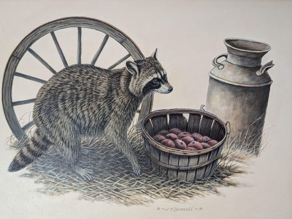James R. Darnell | James Darnell Original Raccoon 18 x 24 (12) | MutualArt