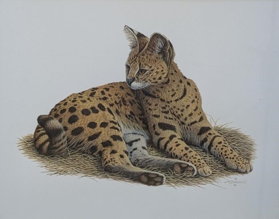 James R. Darnell | James Darnell Original Serval Cat 16 x 20 (12 ...