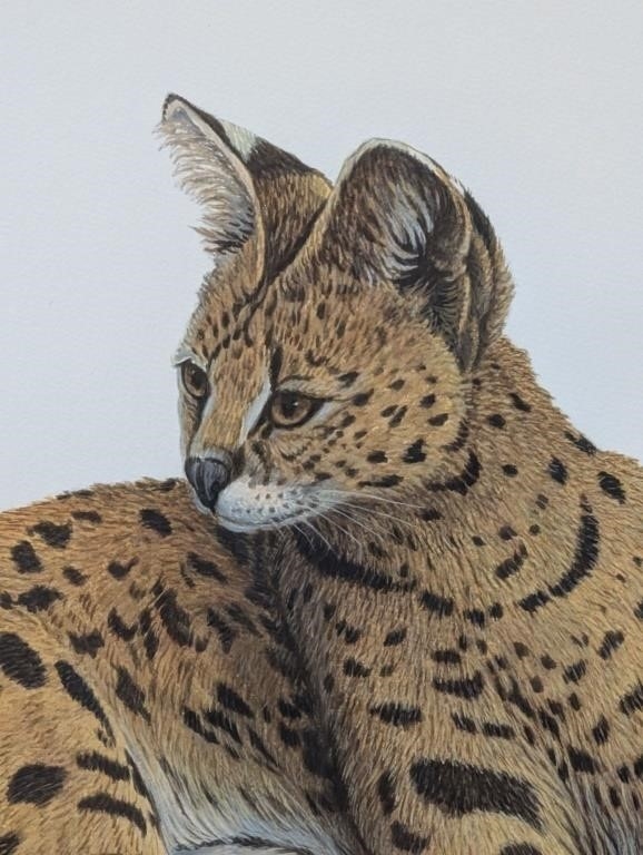 James R. Darnell | James Darnell Original Serval Cat 16 x 20 (12 ...
