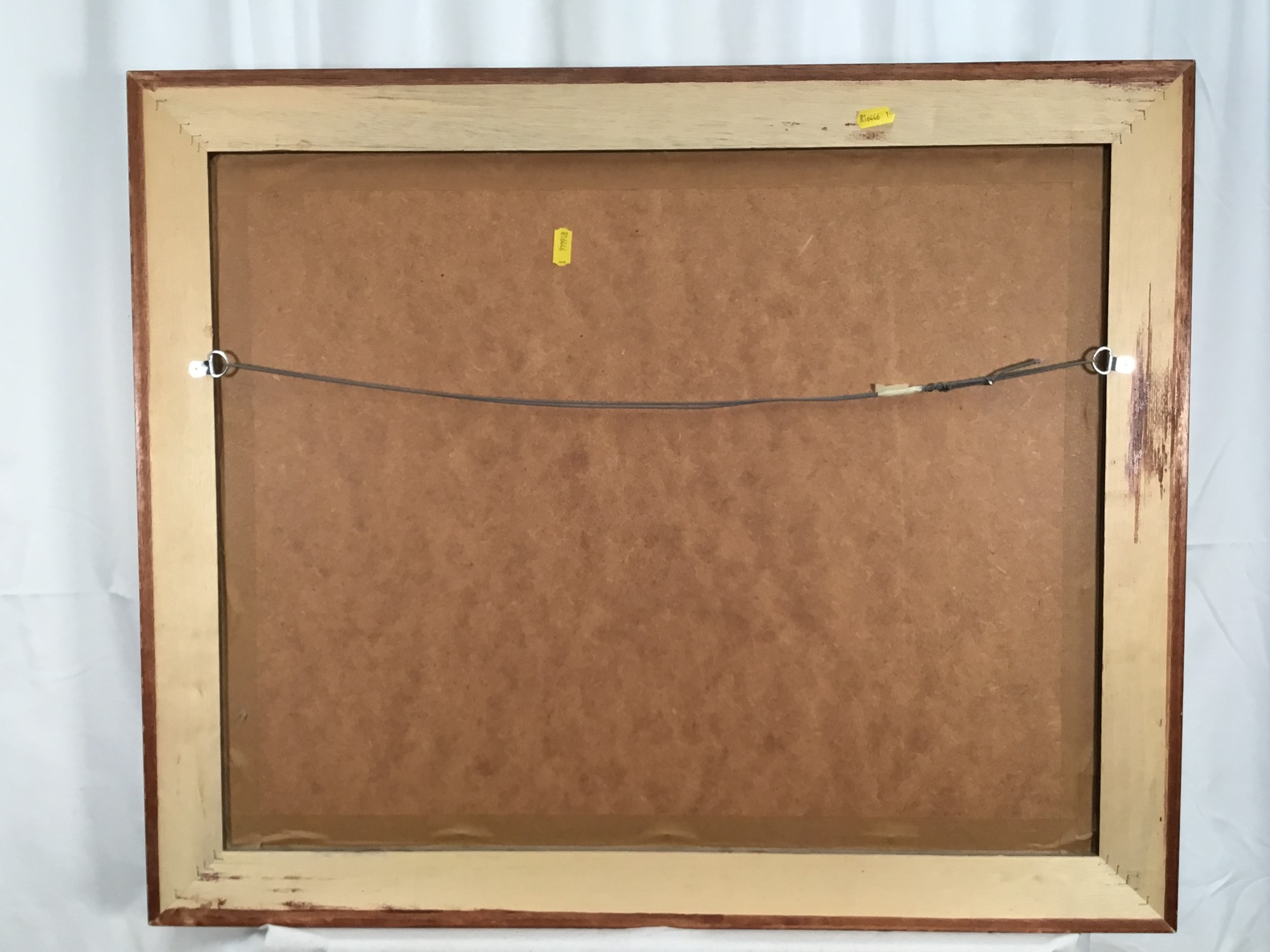 Steven Townsend | pencil signed limited edition print of a lion cub, 20 ...