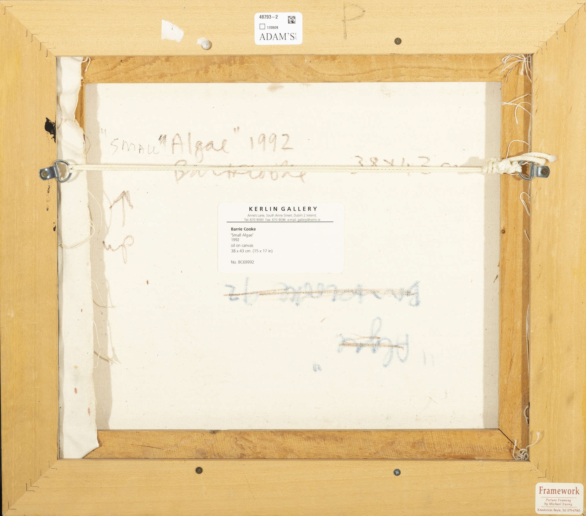 Barrie Cooke | Oil on canvas (1992) | MutualArt