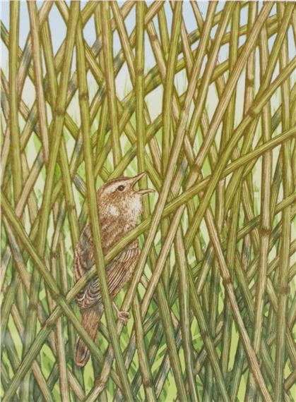 Colin Blanchard | 1 Artworks at Auction | MutualArt