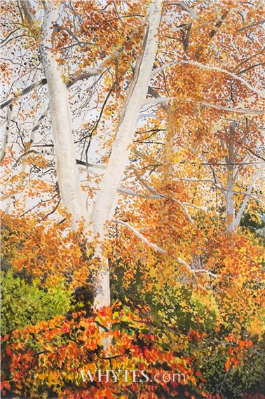 Tim Goulding | AUTUMN TINTS 3, 1976 (1976) | MutualArt