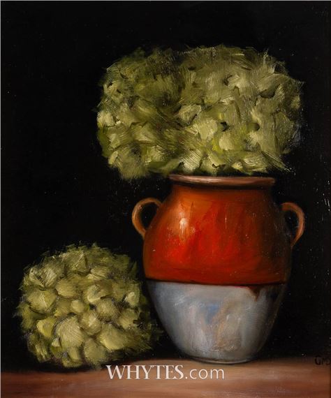 Gavin Doyle | Biography