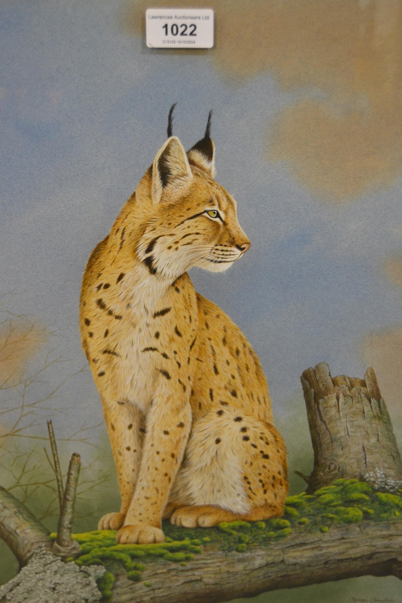 Stephen Gayford | European lynx in a landscape | MutualArt