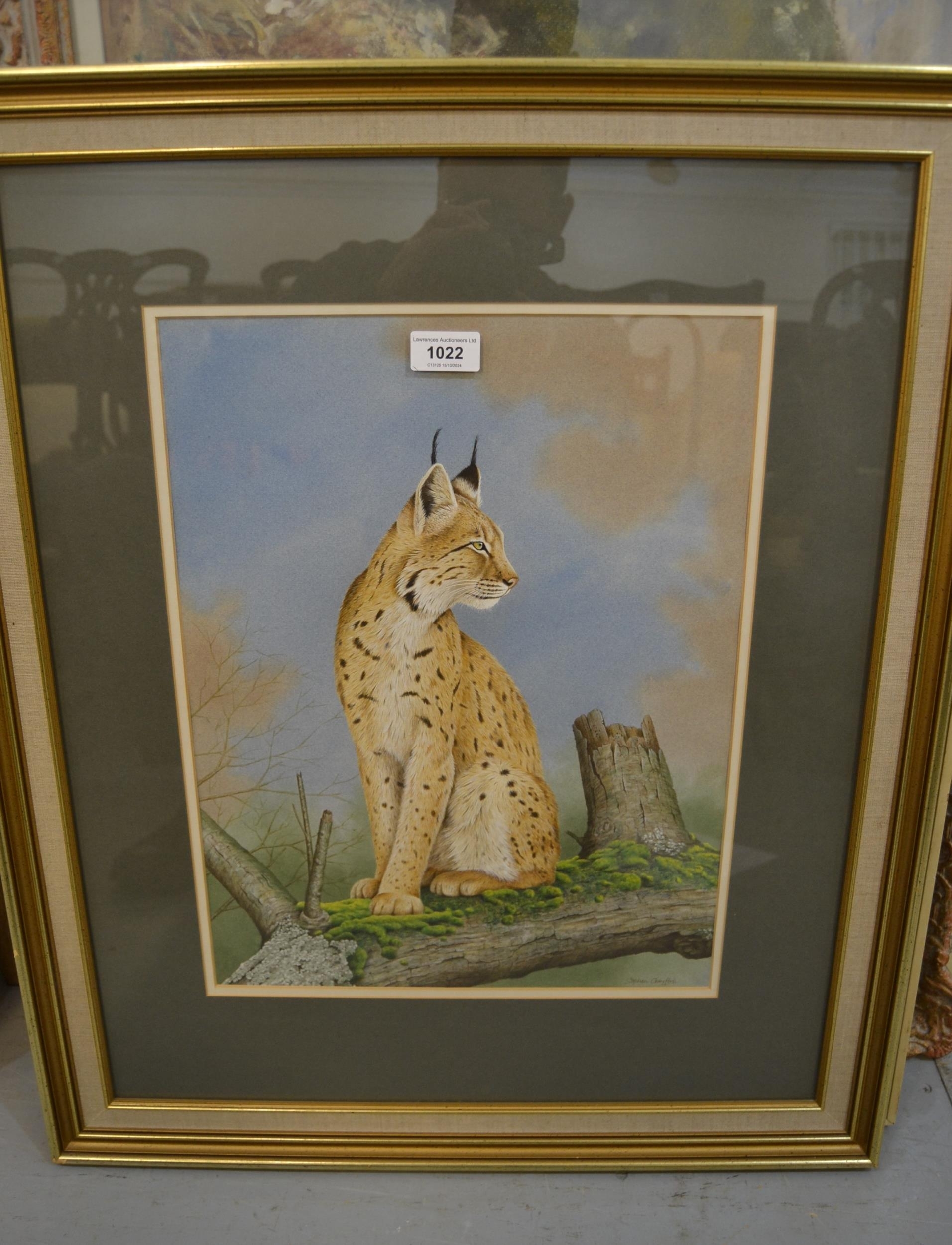 Stephen Gayford | European lynx in a landscape | MutualArt