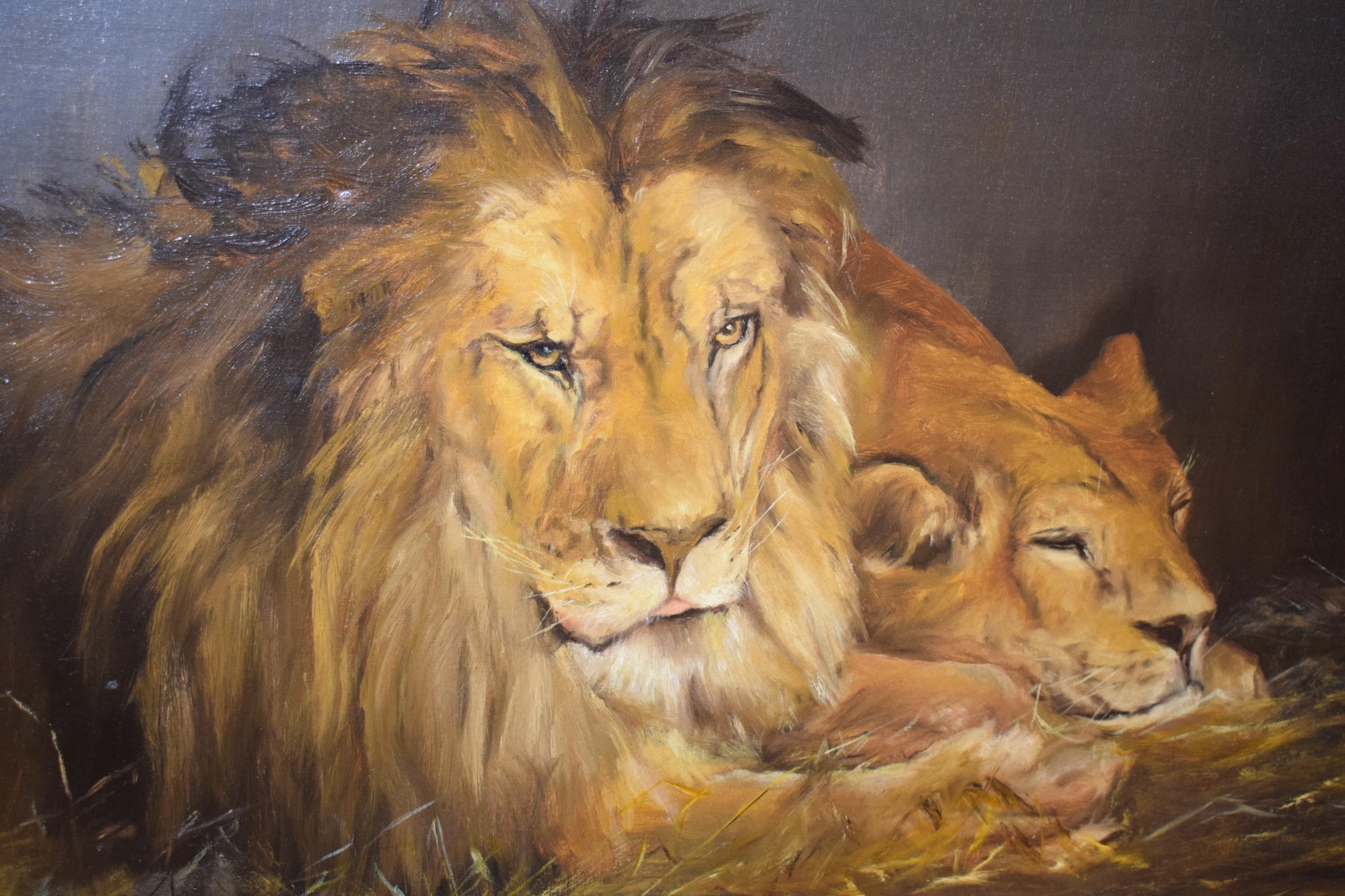 J. Mackereth | Lion and Lioness | MutualArt