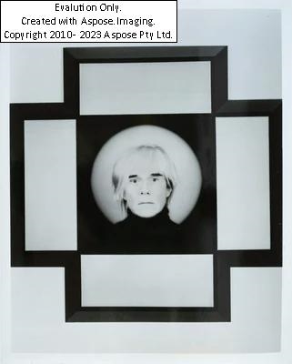 Robert Mapplethorpe | (New York 1946-1989) Andy Warhol (1987) | MutualArt