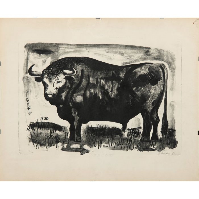 Alfredo Alcain Partearroyo | ALFREDO ALCAÍN (Madrid 1936) Toro en el ...
