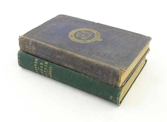 John Edward Sowerby | Biography