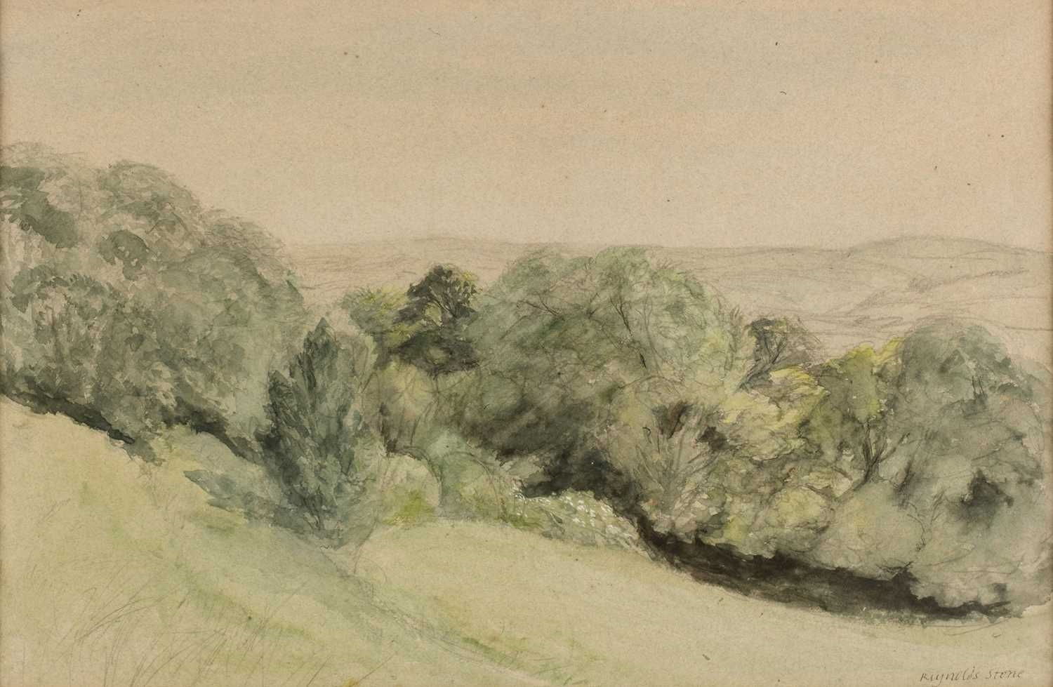 Reynolds Stone | Bride Valley from the Old Rectory Trees (1972) | MutualArt