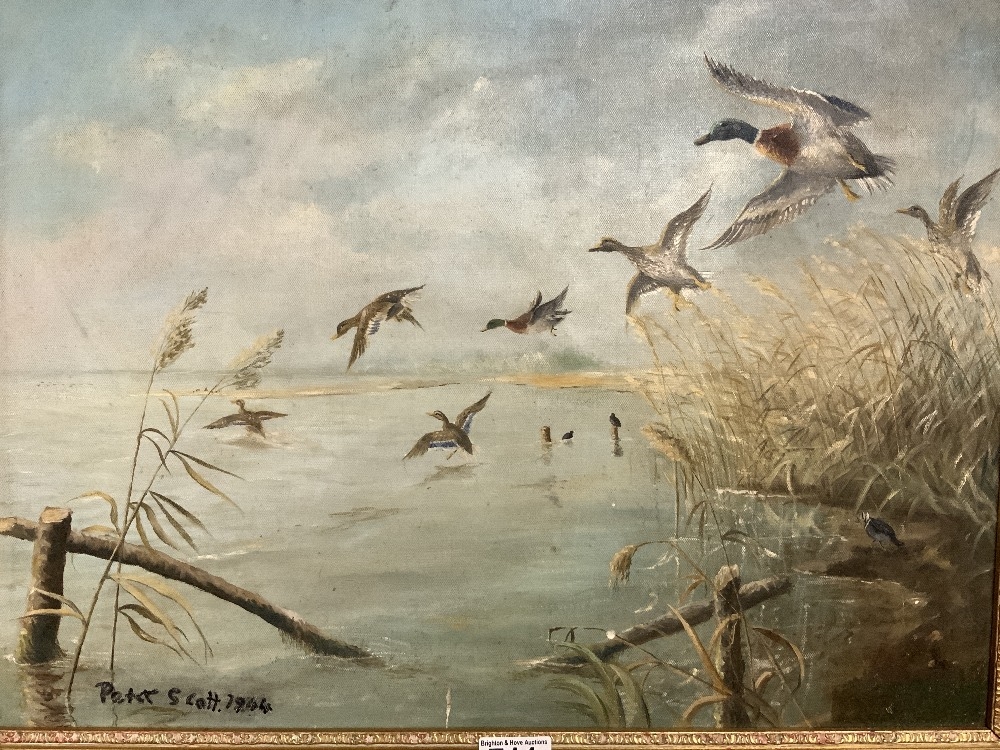 Peter Scott | OIL ON CANVAS OF FLYING DUCKS | MutualArt