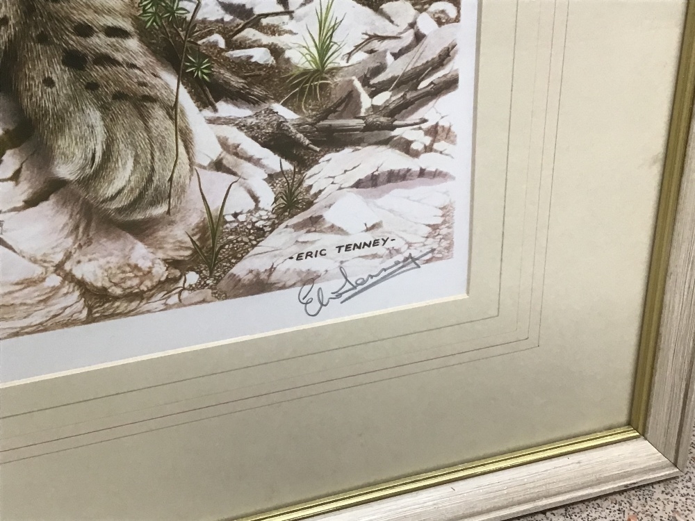 Eric Tenney | A FRAMED AND GLAZED PRINT SIGNED BY ERIC TENNEY OF A LYNX ...