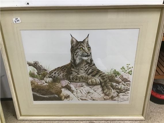 Eric Tenney | A FRAMED AND GLAZED PRINT SIGNED BY ERIC TENNEY OF A LYNX ...