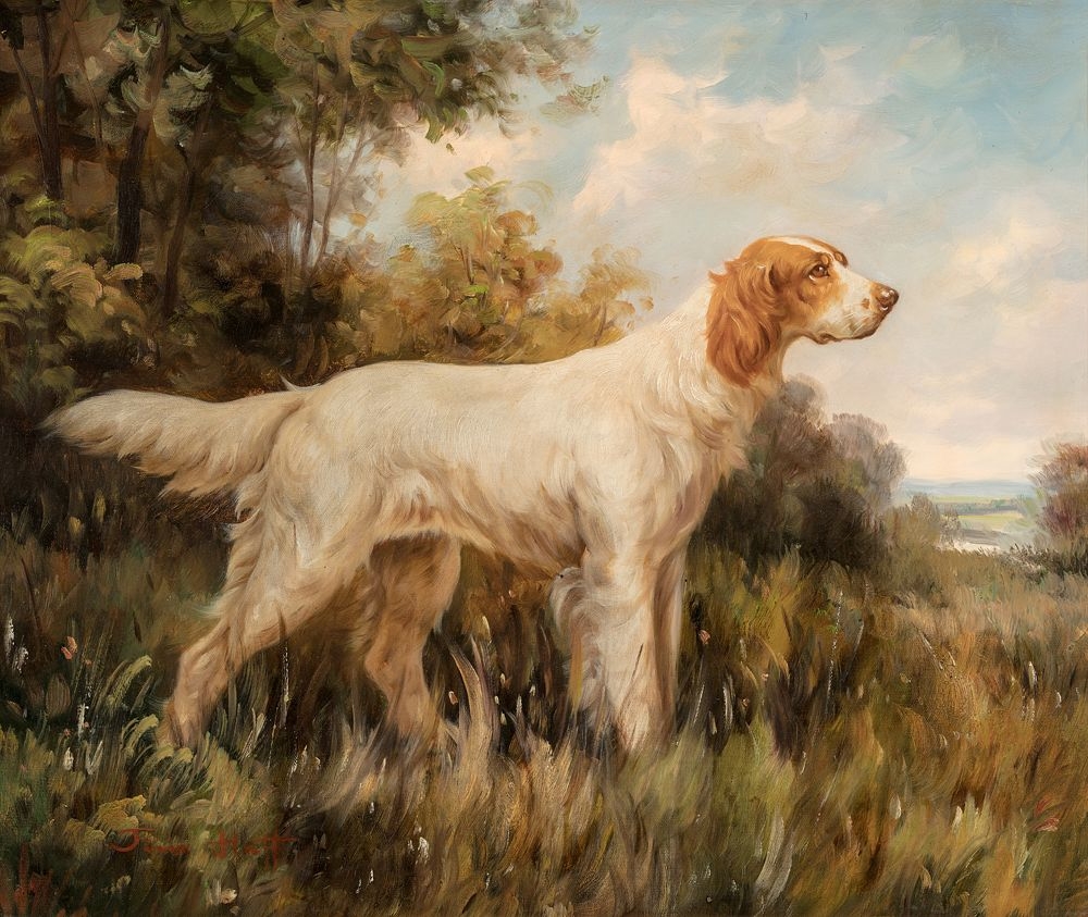 Jim Hutt | English Setter | MutualArt