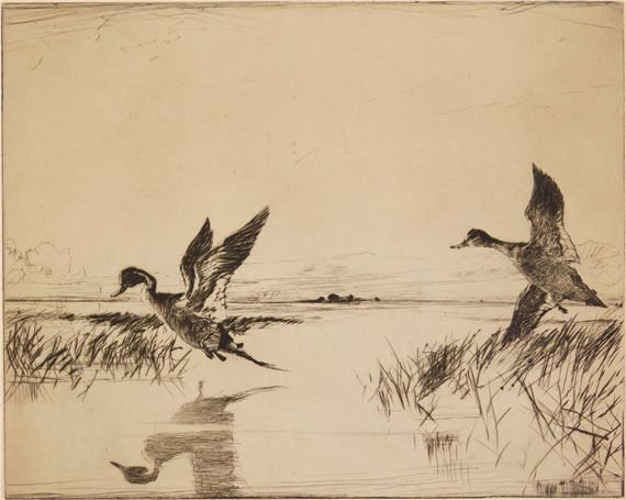 Frank Weston Benson | Pair of Pintails (1930) | MutualArt