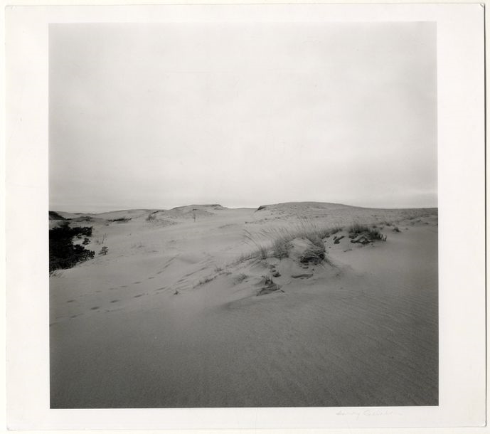 Harry Callahan | Eleanor (arms raised). | MutualArt