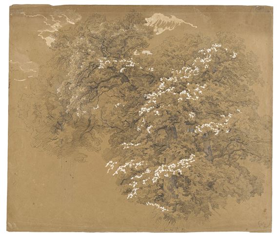 Gustav Friedrich Papperitz | Alte Eiche (1846) | MutualArt