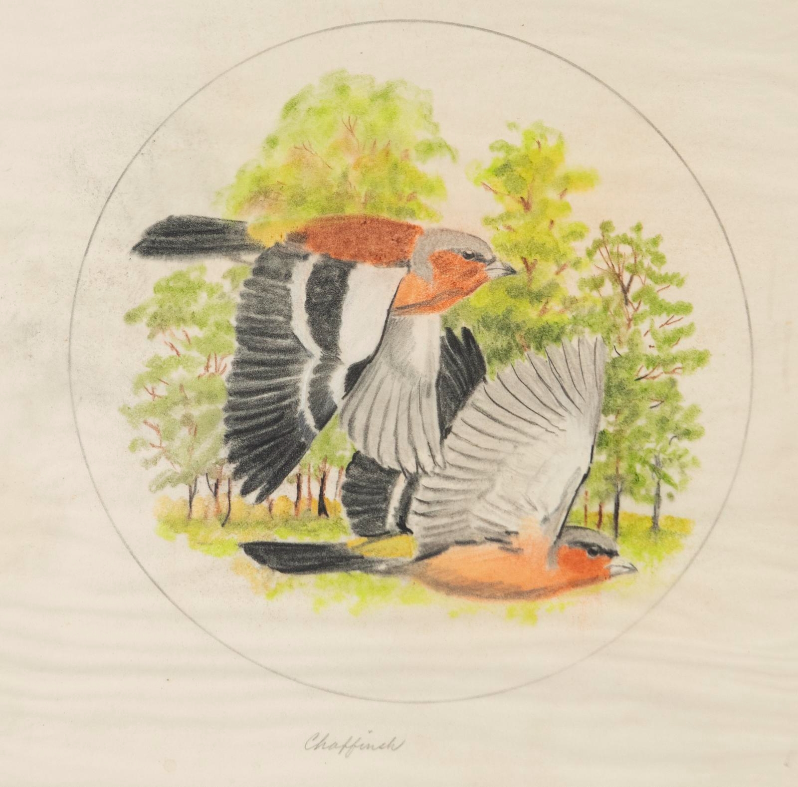 Arthur B. Singer | CHAFFINCH | MutualArt